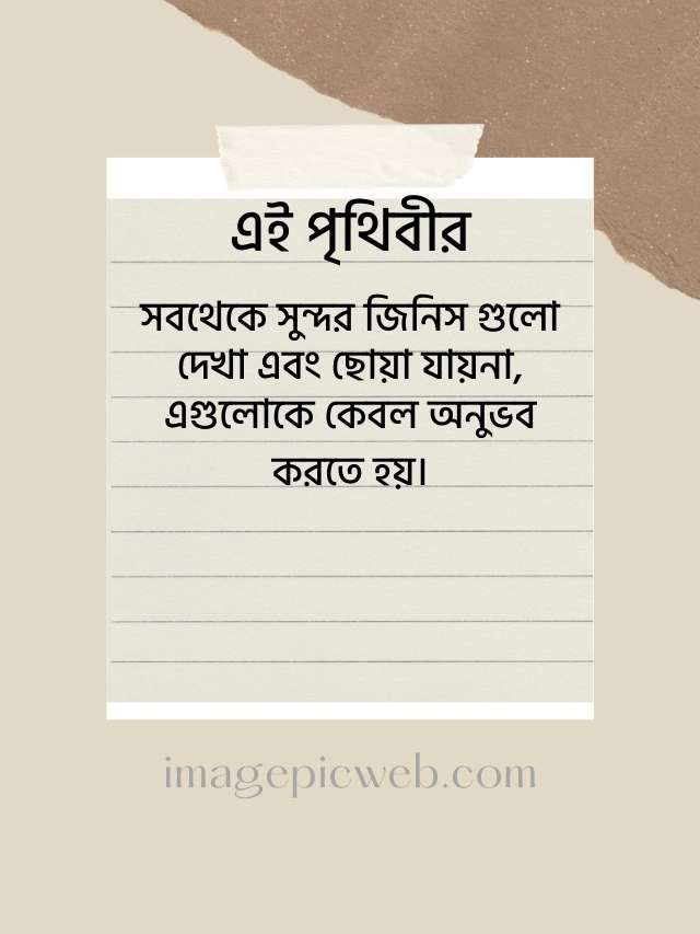 Jibon Niye Kichu Bastob Kotha Status Quotes For Instagram - Image Pic Web