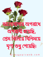 Bangla Koster Picture 2023 Love Koster Pic HD Photo Wallpaper