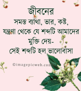 Bangla Koster Picture 2023 Love Koster Pic HD Photo Wallpaper