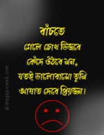 Bangla Koster Picture 2023 Love Koster Pic HD Photo Wallpaper
