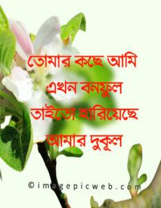 Bangla Koster Picture 2023 Love Koster Pic HD Photo Wallpaper