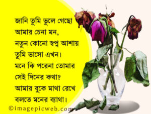Bangla Koster Picture 2023 Love Koster Pic HD Photo Wallpaper