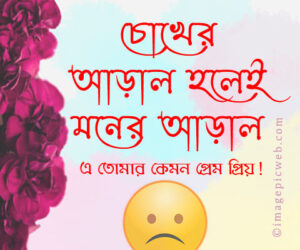 Bangla Koster Picture 2023 Love Koster Pic HD Photo Wallpaper