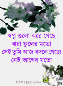 Bangla Koster Picture 2023 Love Koster Pic HD Photo Wallpaper