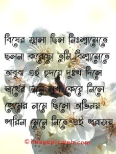 Bangla Koster Picture 2023 Love Koster Pic HD Photo Wallpaper