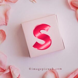 Stylish S Letter DP 3D Wallpaper For Facebook WhatsApp Pic