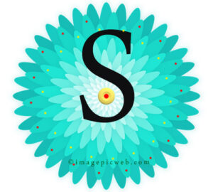 Stylish S Letter DP 3D Wallpaper For Facebook WhatsApp Pic