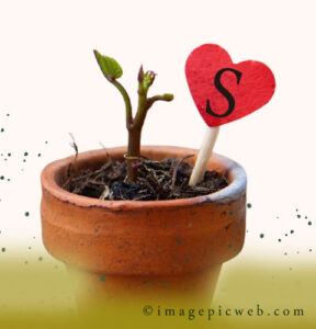 Stylish S Letter DP 3D Wallpaper For Facebook WhatsApp Pic
