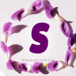 Stylish S Letter DP 3D Wallpaper For Facebook WhatsApp Pic