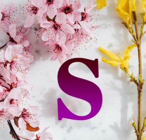 Stylish S Letter DP 3D Wallpaper For Facebook WhatsApp Pic